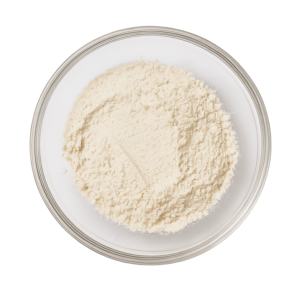 Calcium (Kalk): Funktioner, Kilder & Behov | Wellvita